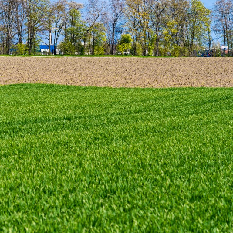Sod Installers | Expert Sod Installation Services MD, NW DC, & VA
