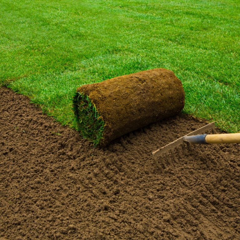 Sod Installers | Expert Sod Installation Services MD, NW DC, & VA